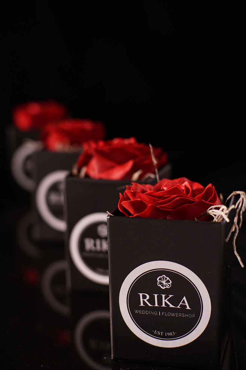 Τριαντάφυλλο σε κουτί (Μini) - Rika Flowers - Τριαντάφυλλο σε κουτί